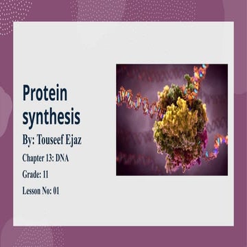 Lesson-02-grade-11-protein synthesis(Transcription).pptx