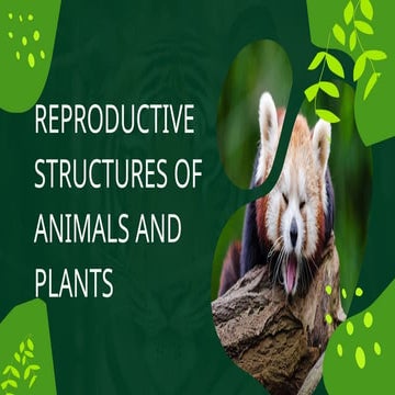 Reproductive structures of plants and animals | PPTX