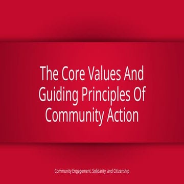 Core Values and Principles of Community Action Initiatives.pdf
