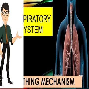 The Human Respiratory system for Grade 5 | PPTX