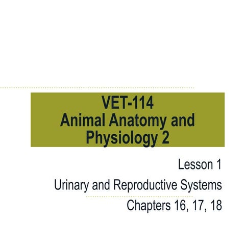 Avian excretory system | PPTX