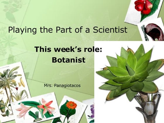 Plants 3rd grade | PPTX