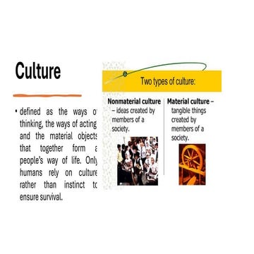 Lesson-1_025740 (1).pdf popular cultures | PPT