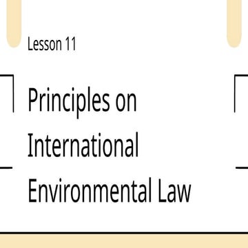 lesson-11.pptx PRINCIPLES ON INTERNATIONAL LAW | PPTX