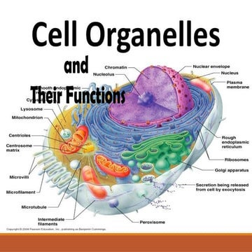 LESSON-2-Cell-Organelles-and-Their-Functions.pptx