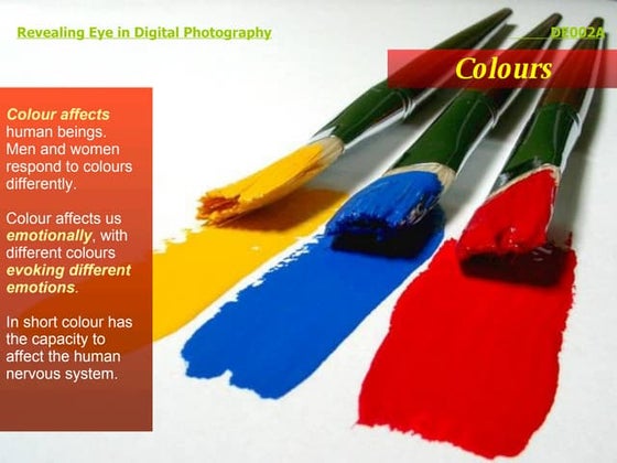 Basic Photography Lesson | PPT