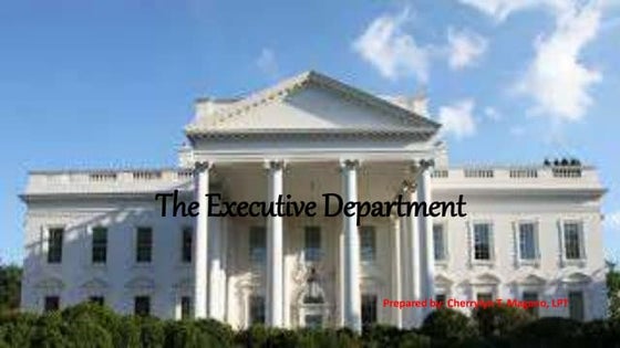 Philippine Government: The Executive Branch | PPT | Law