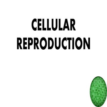 LESSON-2a-CELLULAR-REPRODUCTION-April-19-2024 (1).pdf