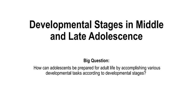 Schaie's cognitive theory | PDF