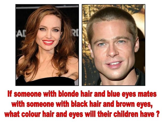 GENETICS 9 science 9 grade 9 curriculum.pptx | Genetics | Science