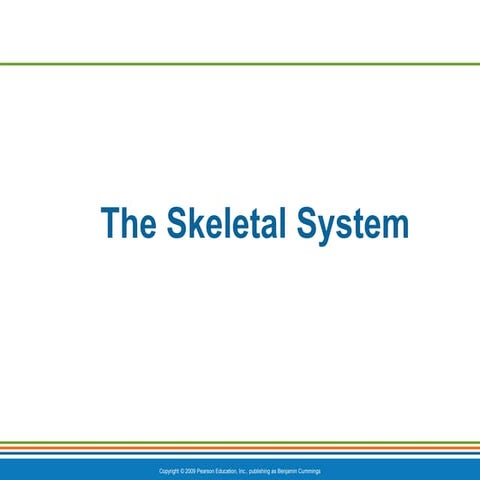 Lesson-4.-Skeletal-System.ppt
