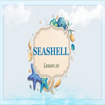 Seashell | PPTX