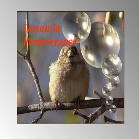 Lesson In Perseverance | PPT