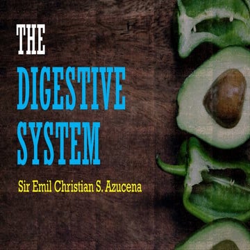 Lesson-Slides_The-Digestive-System a.pdf