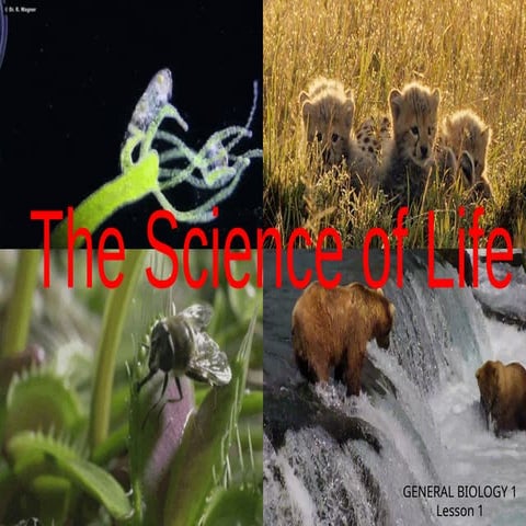 Lesson 01 - The Science of Life - Copy.pptx