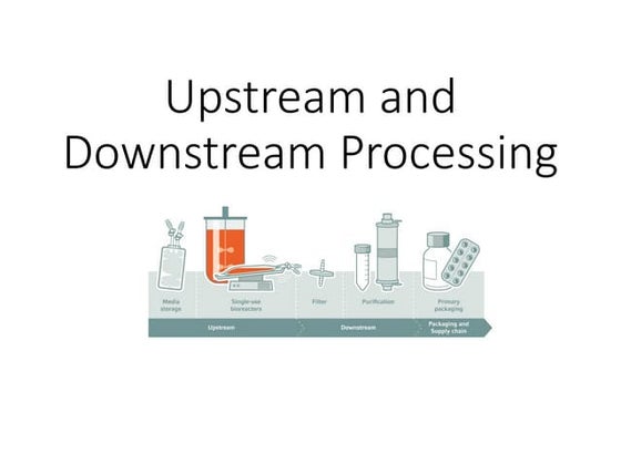 Upstream Processing | PPT