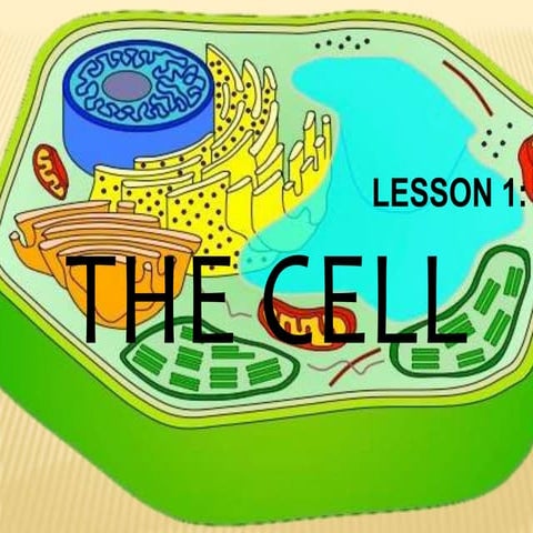 Cell theory | PPTX