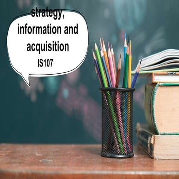 Lesson 1. IS Overview.pptx