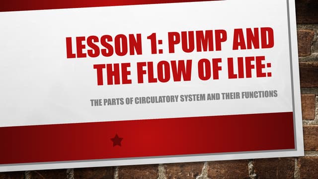 Open and close circulatory systems and examples | PPTX