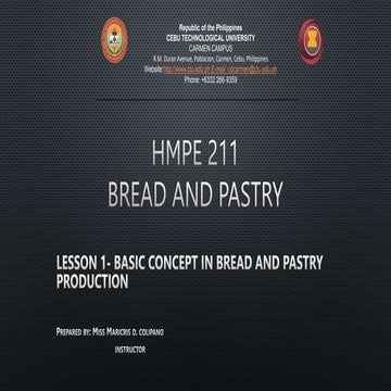 lesson 1- basic concept of BPP.pptx