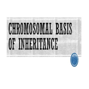 Grade 9 - Chromosomal basis of inheritance | PDF