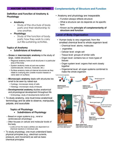 Lesson 1 Introduction To Anatomy And Physiology Pdf