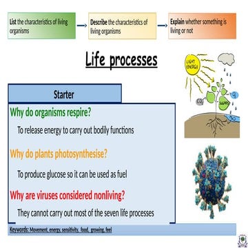 Lesson 1 - Life processes of Different organism | PPTX