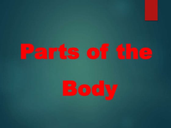Body parts presentation | PPTX