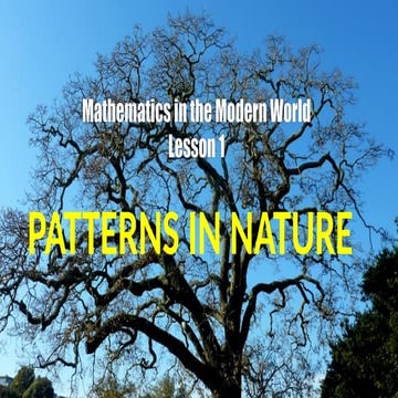 MATH IN THE MODERN WORLD - PATTERNS IN NATURE.pptx