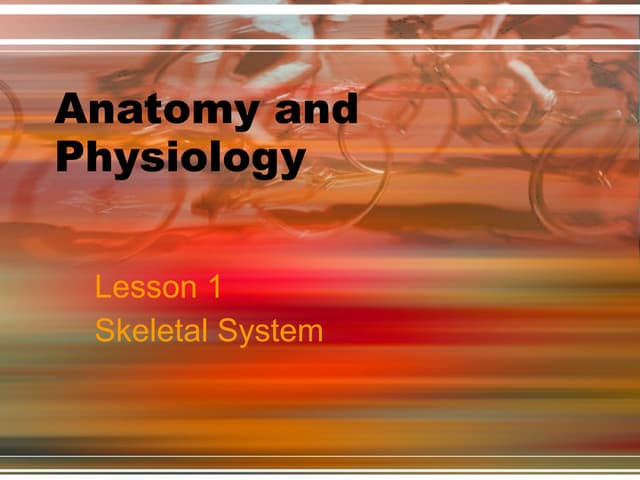 FUNCTIONS OF SKELETAL SYSTEM grade 4pptx | PPTX