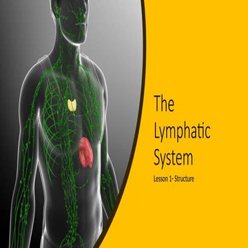 Lesson 1- lymphatic system-functions(6).pptx