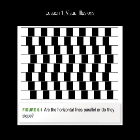 Lesson 1 visual illusion | PPT
