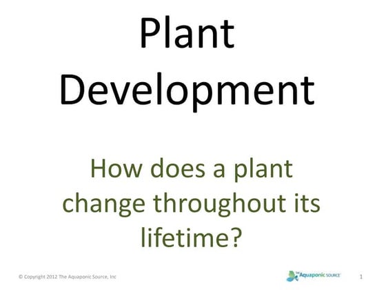 Life cycle of_plant | PDF