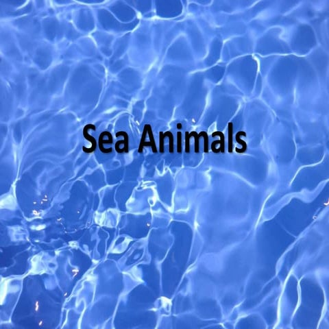 Sea animals | PPTX