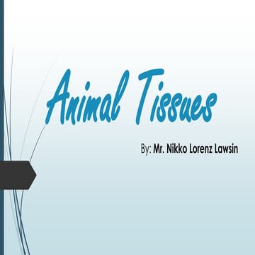 Lesson 11 animal tissues | PDF
