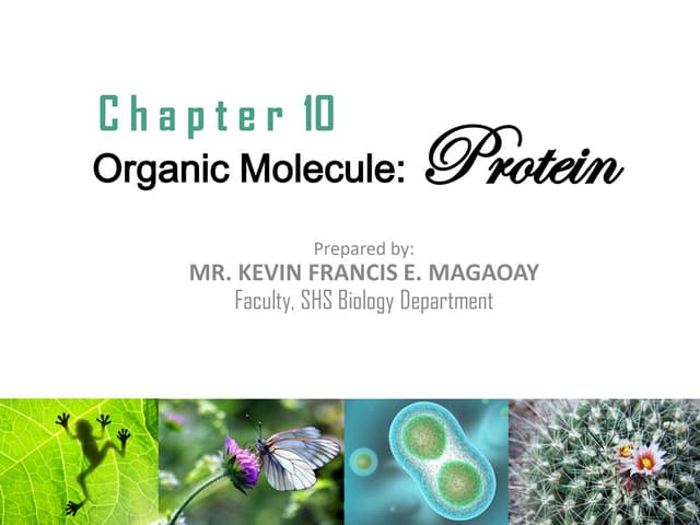 Lesson 4 Cell Modifications | PDF