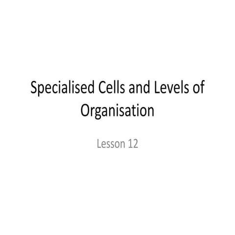 Lesson 12 levels of organisation (1) | PPTX