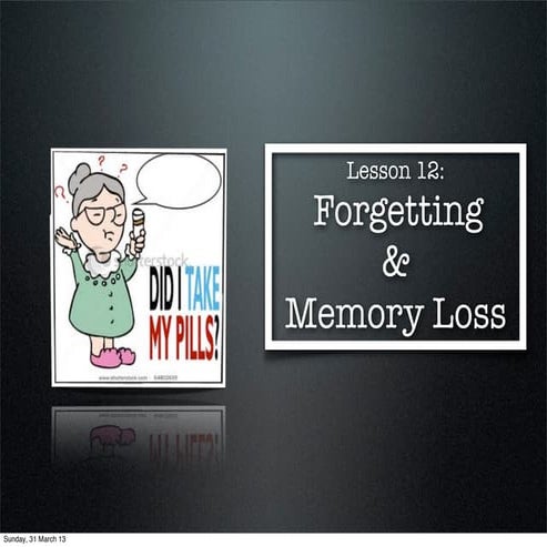 Lesson 12 forgetting & memory loss 2013 | PDF | Brain and Nervous ...