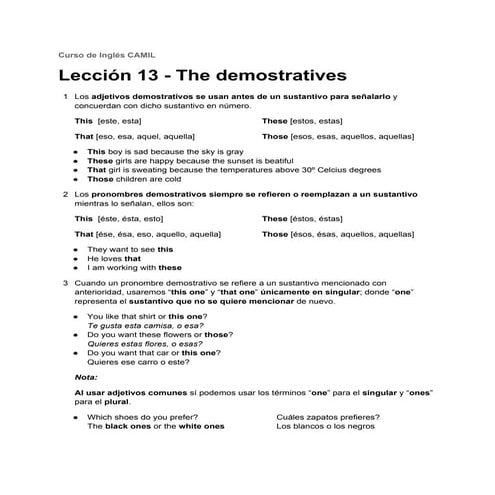 Lesson 13 the demostratives | PDF