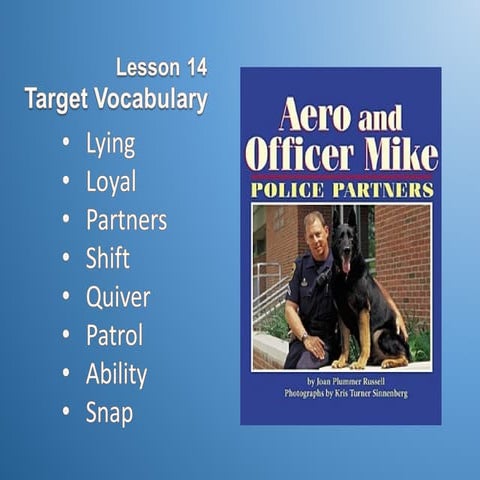Lesson 14 - Aero and Officer Mike - 2017 | PPT