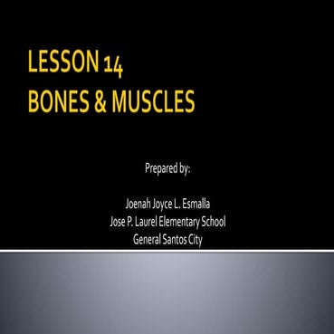 Lesson 14 Bones and Muscles ACTIVITY 2.pptx