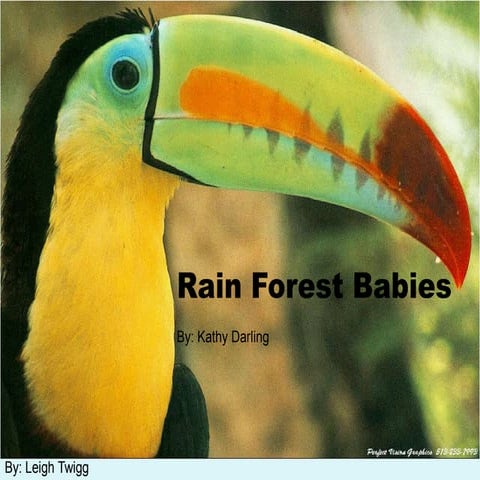 Lesson 14 twigg vocab rainforest babies | PPTX