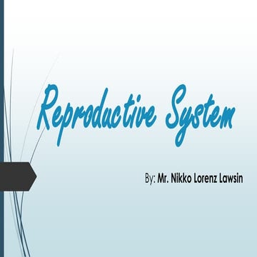 Lesson 16 reproductive system | PPT