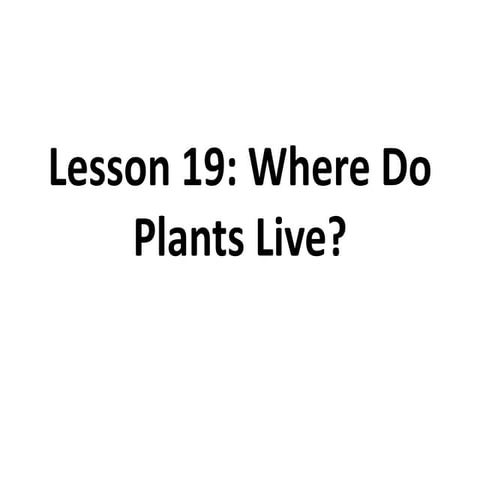 Lesson 19 | PPT
