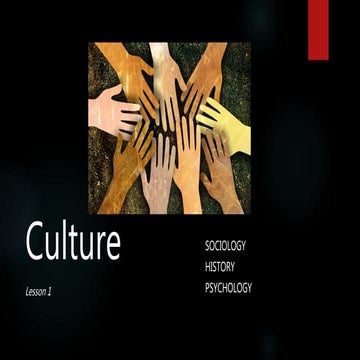 Lesson 1 Culture | PPT