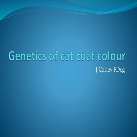 Lesson 1 genetics of cat coat colour | PPTX