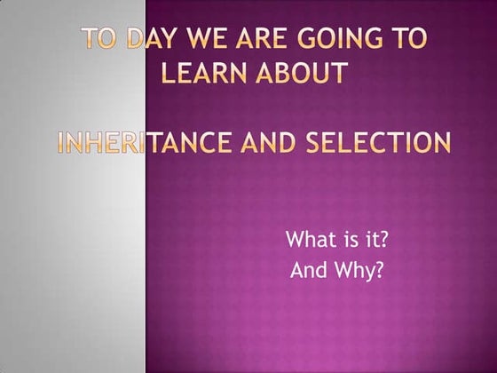 A detailed lesson plan in biology for grade 9 | DOCX | Genetics | Science