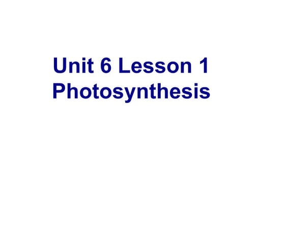photosynthesisintroduction-Grade 9 Science.ppt | Chemistry | Science
