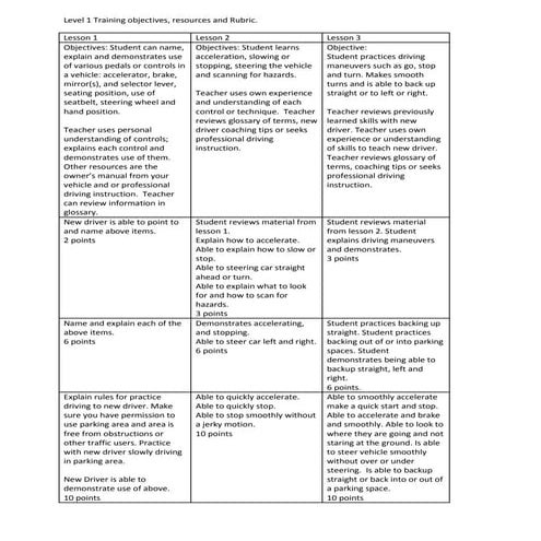 Lesson1 rubric | PDF