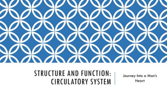 Circulatory System Ppt | PPT